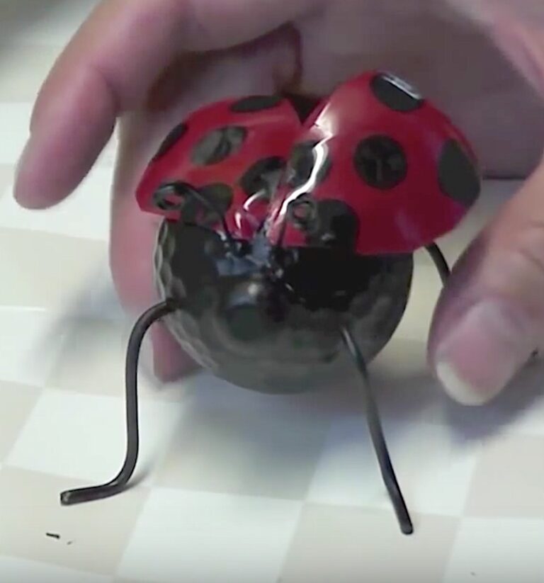 How To Make An Easy Ladybug Using Recycled Items - Craft Klatch
