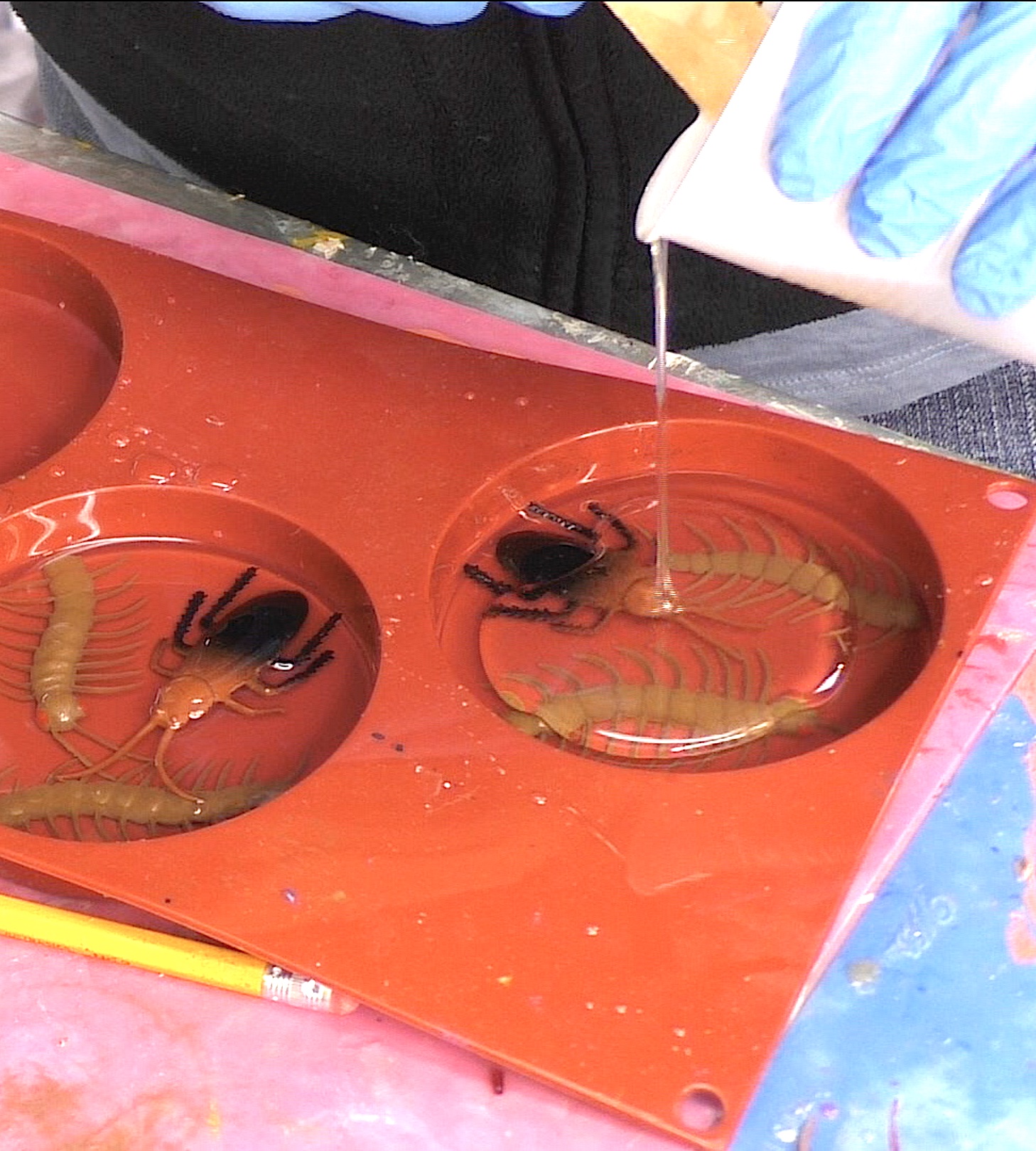 Creepy Bug Halloween Coasters | Another Coaster Friday - Craft Klatch