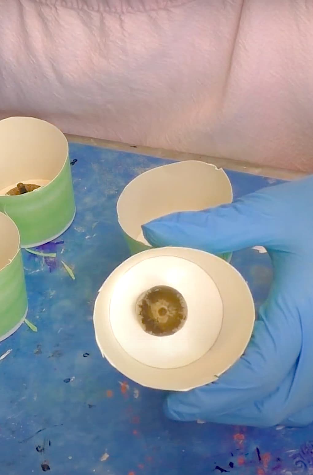 How to Make a Mold for Resin | Fun DIY Acorn Resin Casting - Craft Klatch