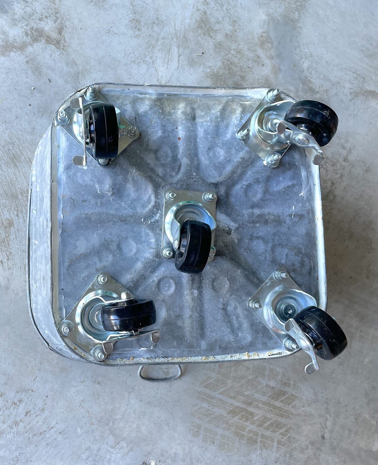 Cat Tree DIY | Cat Tree That Looks Like A Tree - Craft Klatch