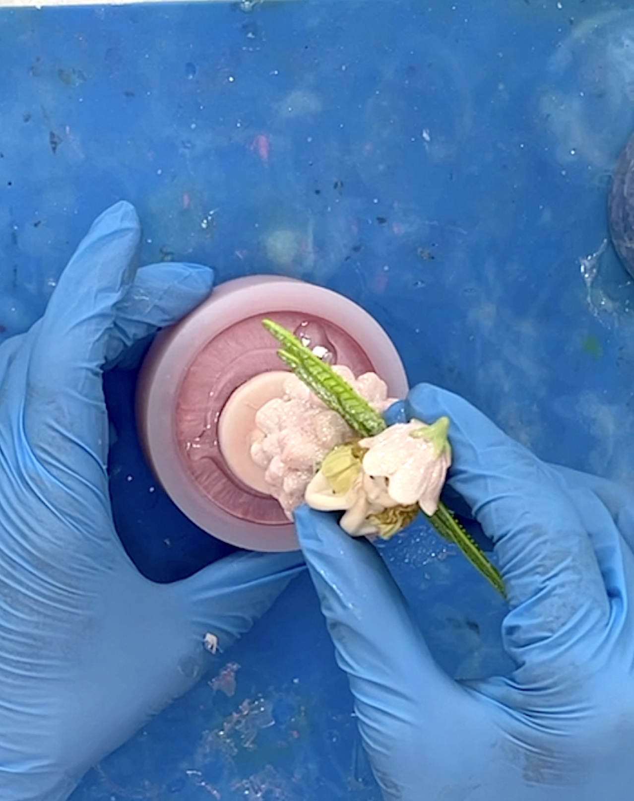 Magical Tooth Fairy Idea DIY [Video & Free Printables] - Craft Klatch