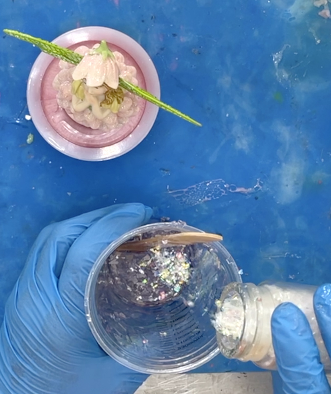 Magical Tooth Fairy Idea DIY [Video & Free Printables] - Craft Klatch