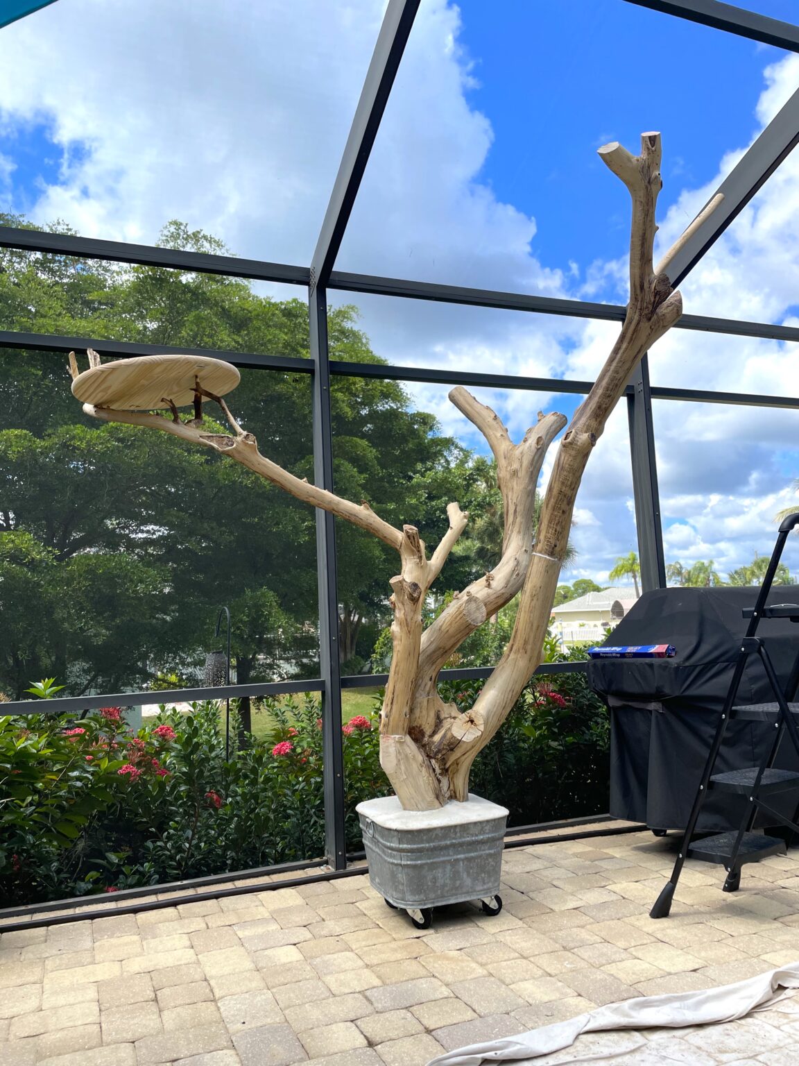 Cat Tree DIY | Cat Tree That Looks Like A Tree - Craft Klatch