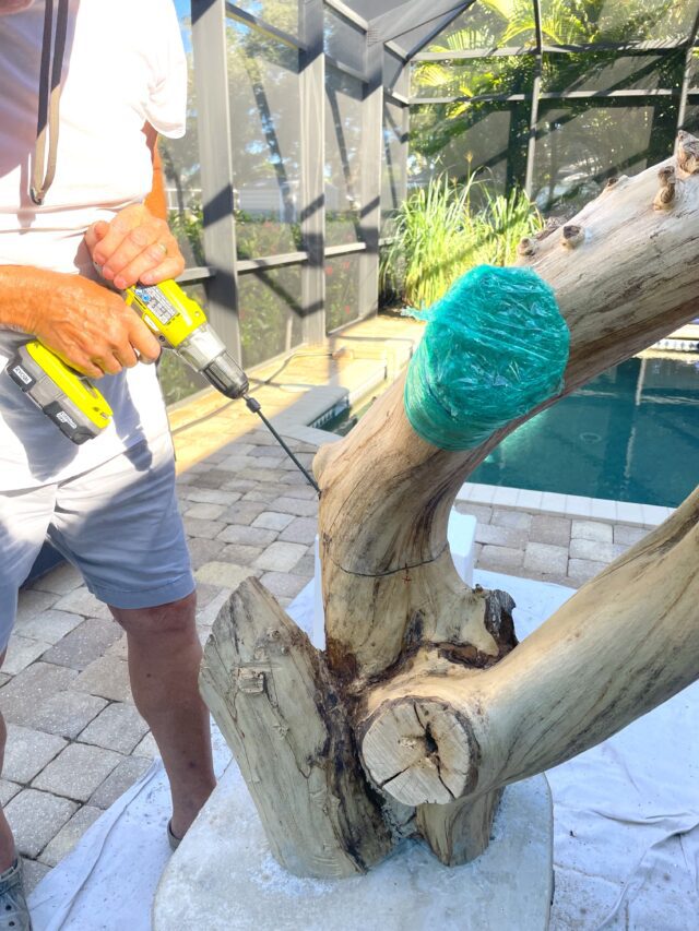 Cat Tree DIY | Cat Tree That Looks Like A Tree - Craft Klatch